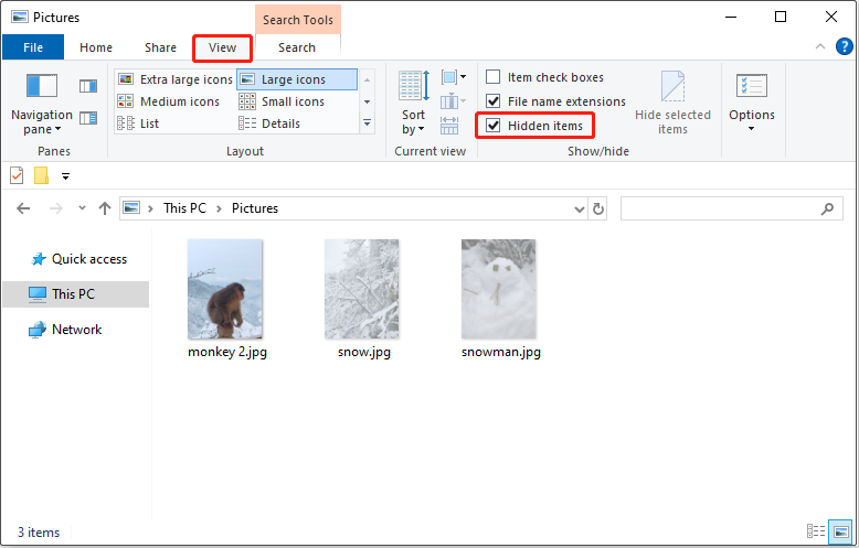 How to Fix File Explorer Not Showing Files on Windows 11/10